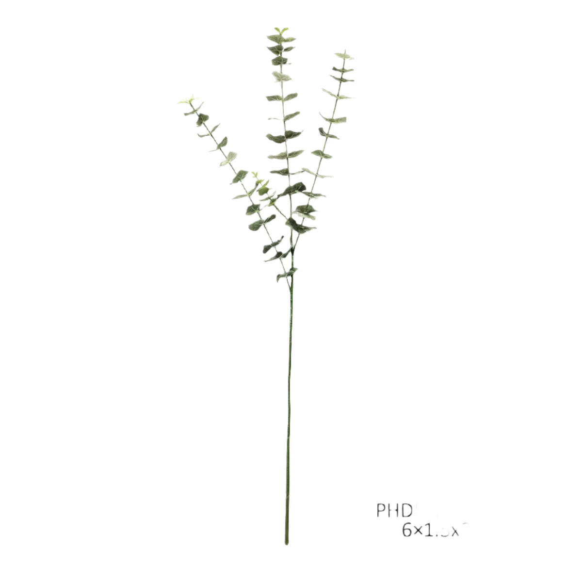 Eucalyptus Branches – Blair and Blythe